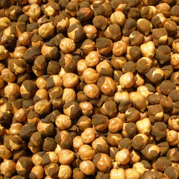 Nourish Your Body with Roasted Grams - Packagesly.com
