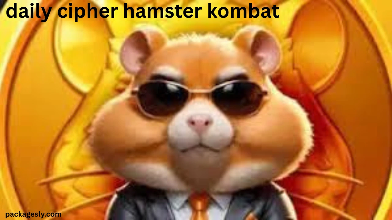 Daily cipher hamster kombat today’s Morse code explained - Packagesly.com