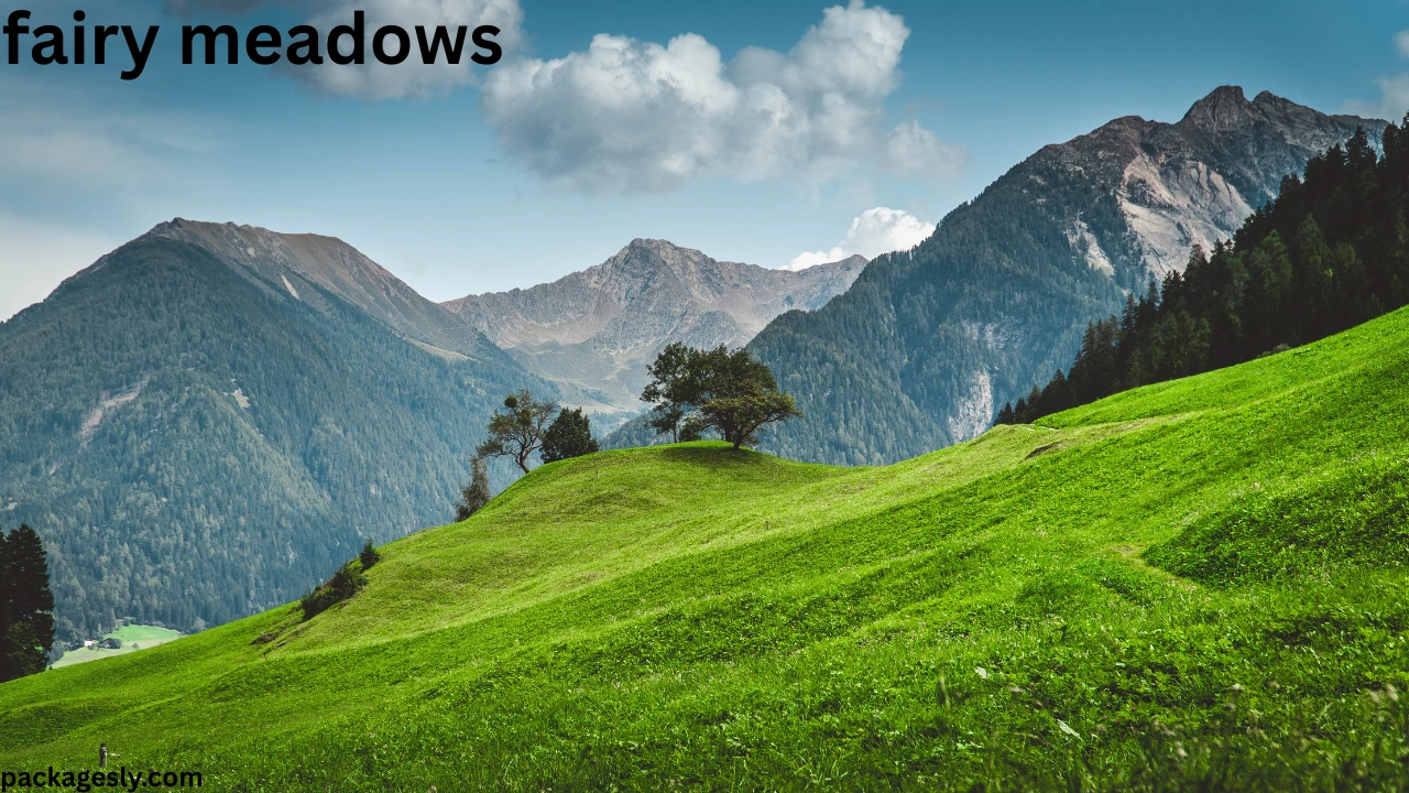 Fairy Meadows Hotels and Camping Options for Every Budget - Packagesly.com