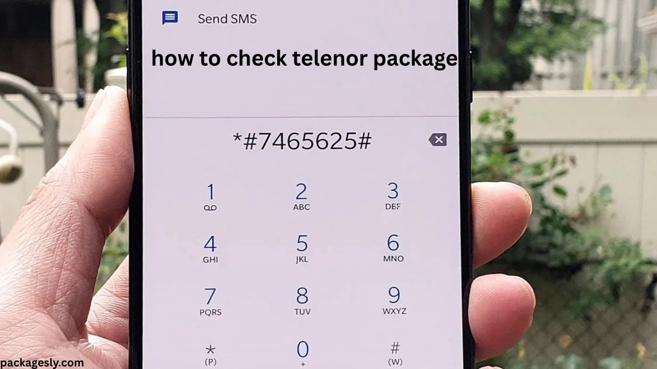 How To Check Telenor Package via Dial Code - Packagesly.com